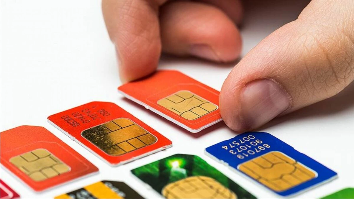 How much can you really make renting SIM cards per month?